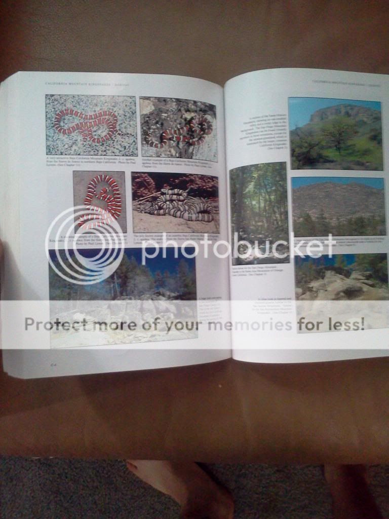 Mountain Kings.. A Collective Natural History By:Brian Hubbs - Field ...