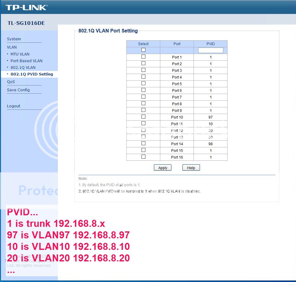 Help with TPLink implementation of VLAN Tagging : r/homelab