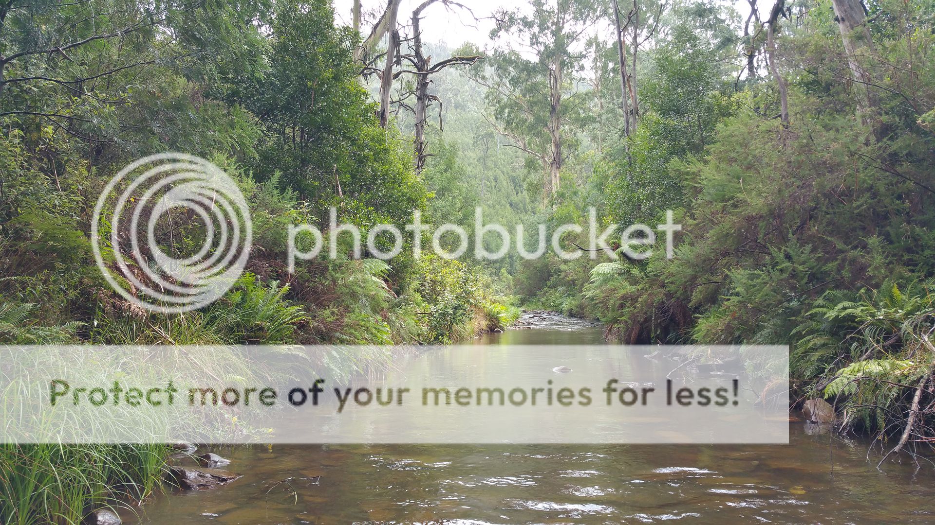 24/01/2015 - Haunted Stream Track Trip Report